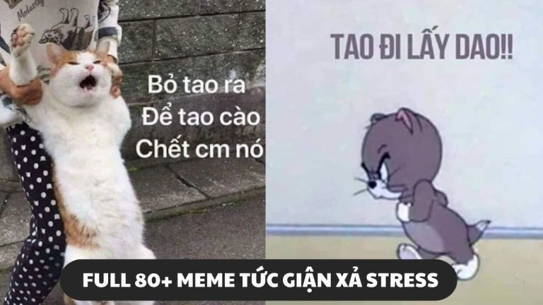 Meme: 999+ Những hình ảnh meme hay, hài hước nhất VN