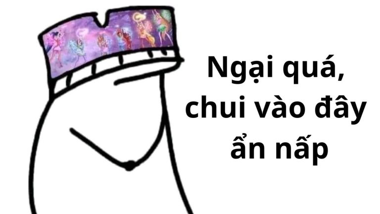Meme: 999+ Những hình ảnh meme hay, hài hước nhất VN