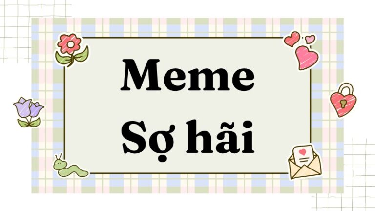 99+ Meme xin lỗi người yêu cute, mèo xin lỗi, đơn xin lỗi